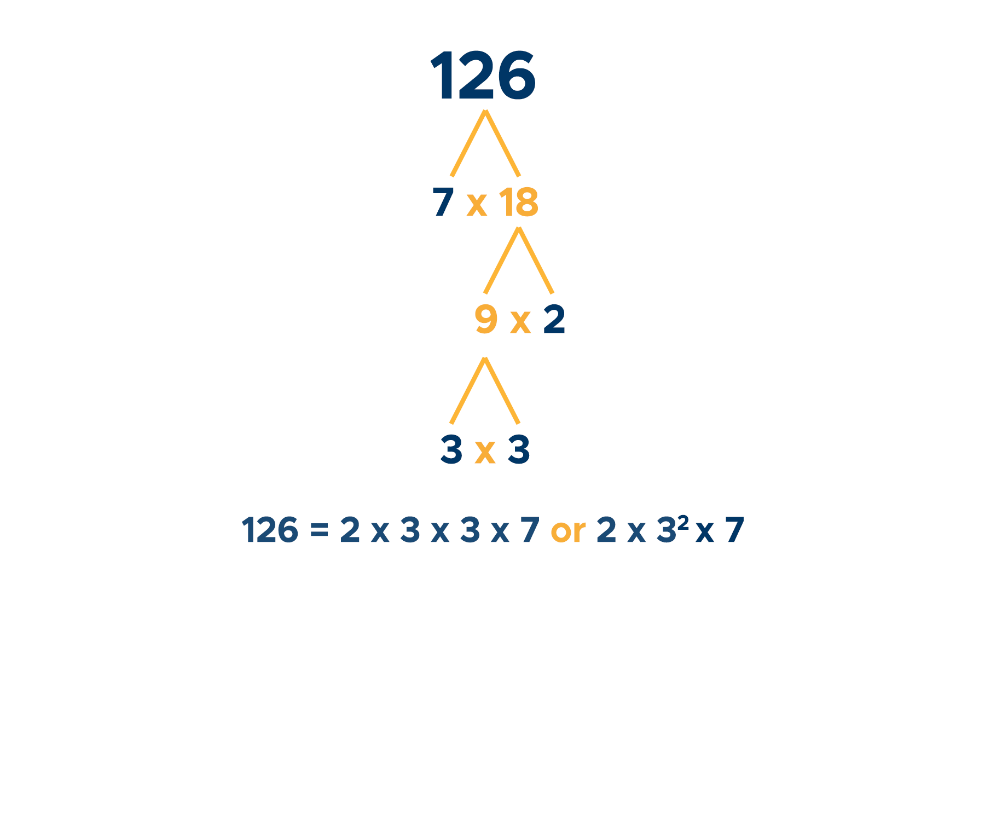Prime Numbers Factorization Factor Tree Curvebreakers